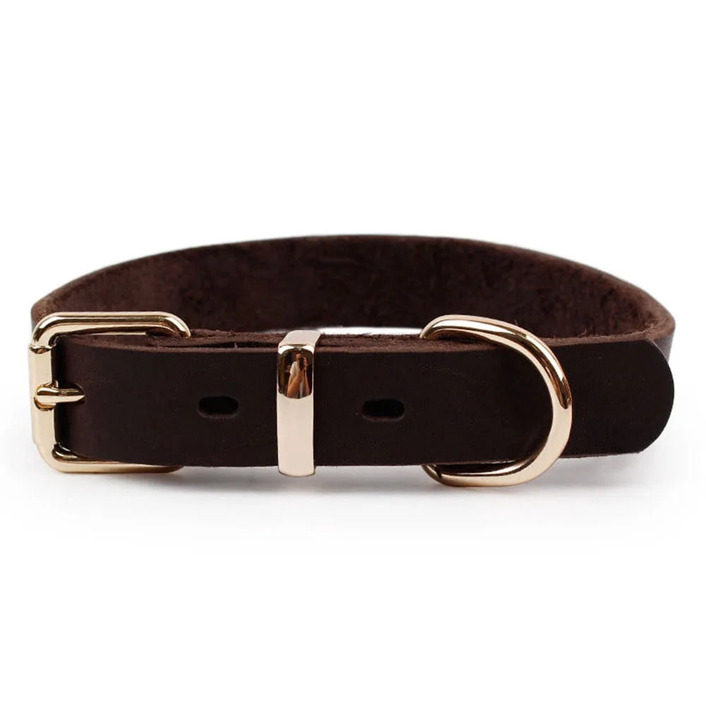 Genuine Leather Dog Collar Real Leather D Ring Dog Collar with Premium ...
