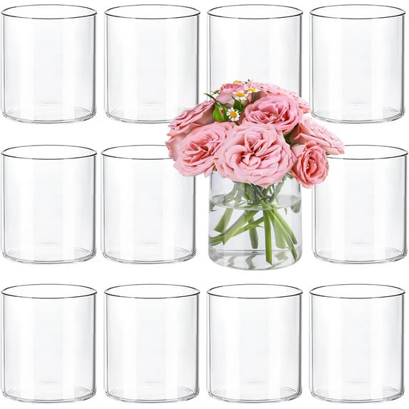 12pcs Small Glass Cylinder Vases for Centerpieces, 4 Inch Clear Flowers ...