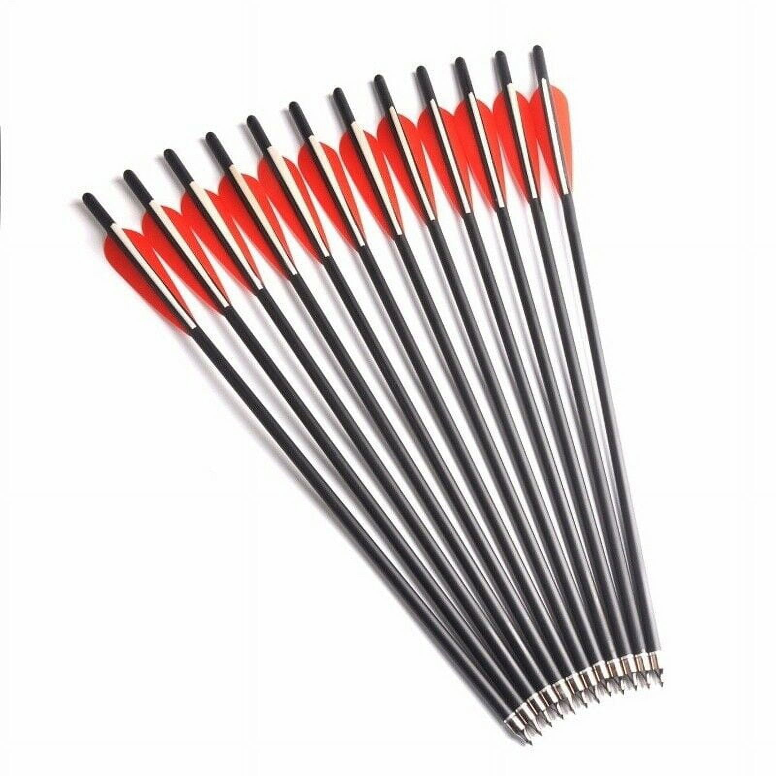 12pcs/set 20 Inches Carbon Arrows With Replaceable Arrowhead 2 colors ...