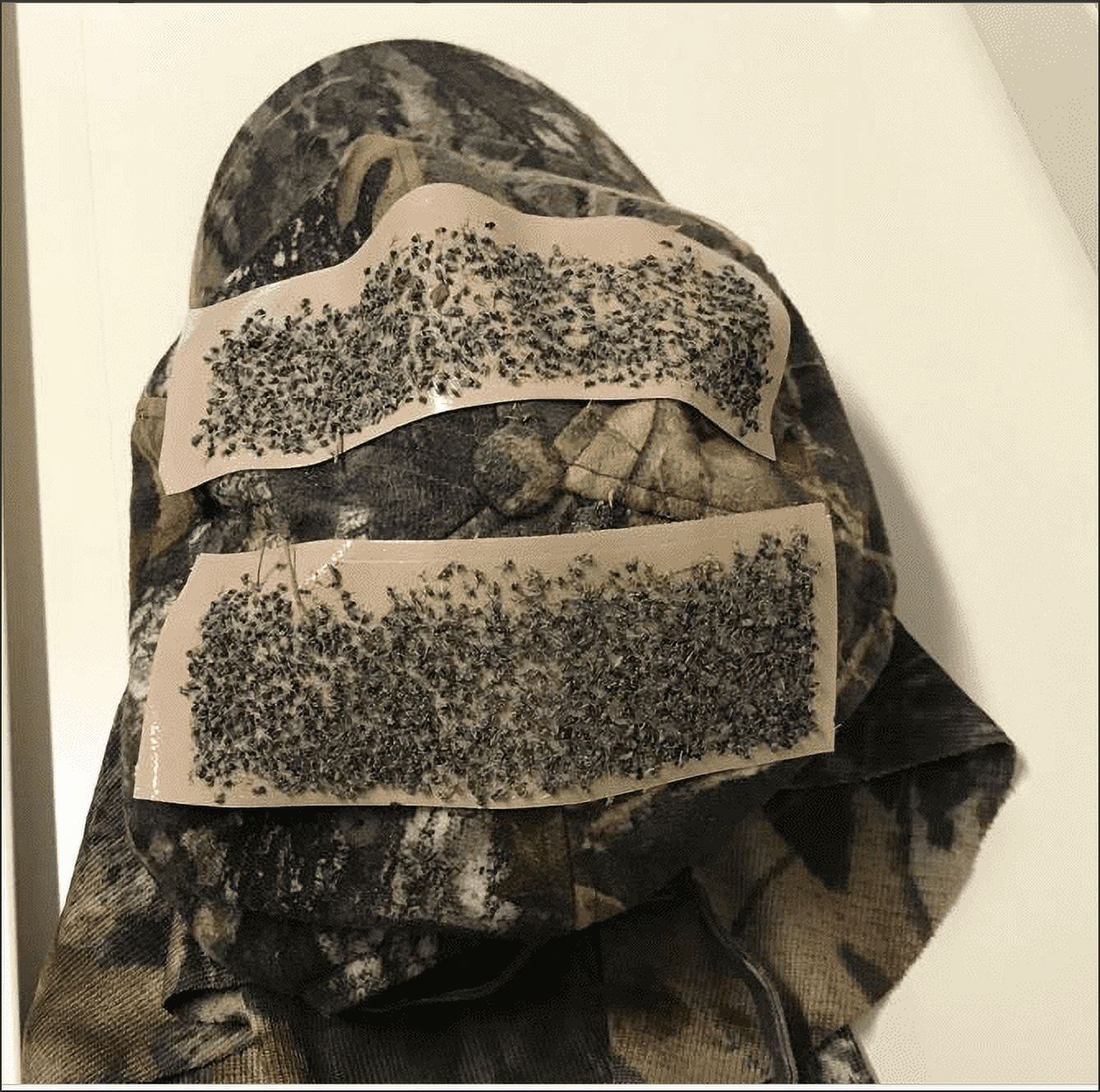 12pk Black Fly, Buffalo / Bull Gnat, Kamikaze Fly Protection ...