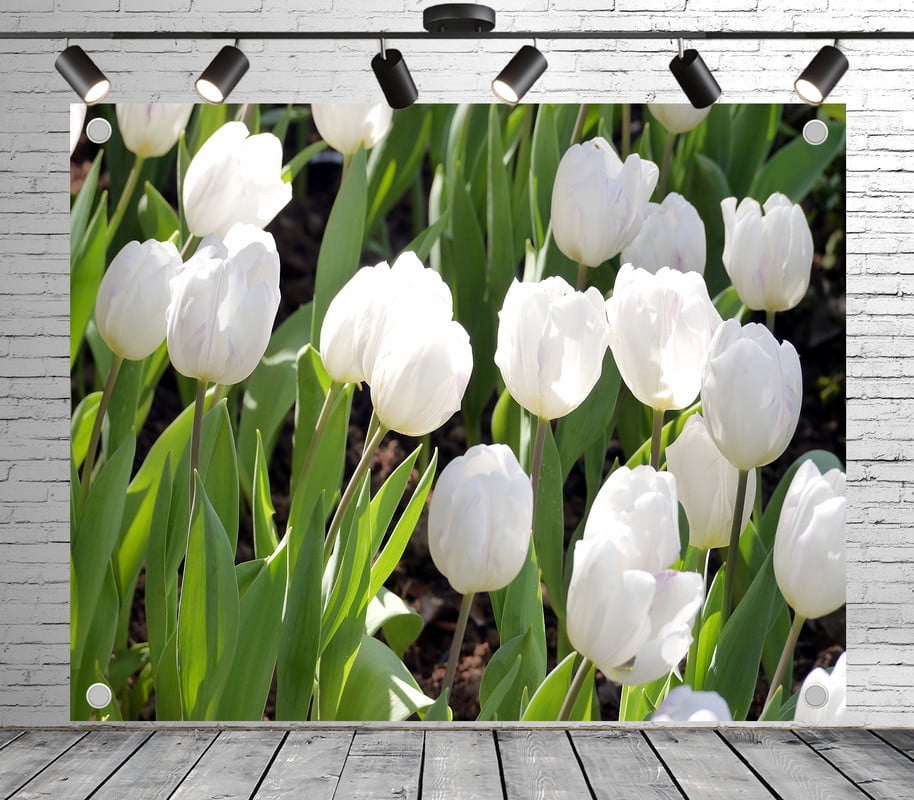 12x10ft Floral Backdrop Blooming White Tulip Photo Backdrop Garden ...