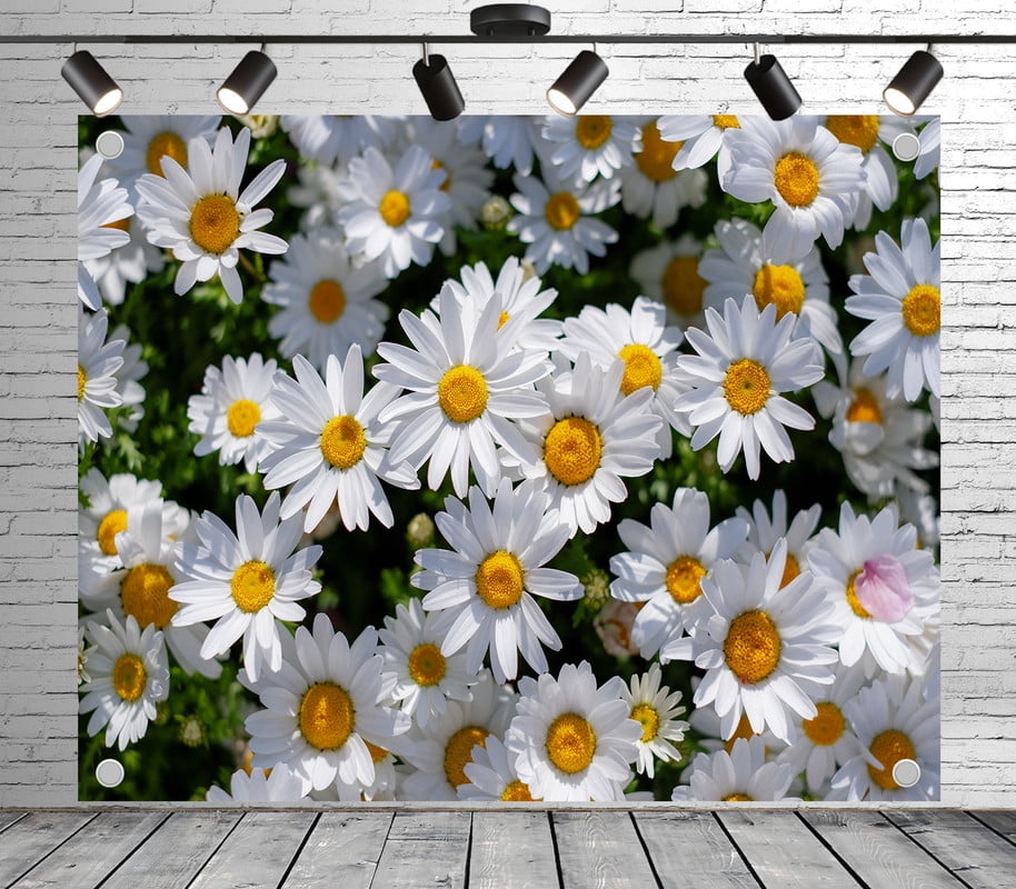 12x10ft Floral Backdrop White Daisy Field Photo Backdrop Garden ...