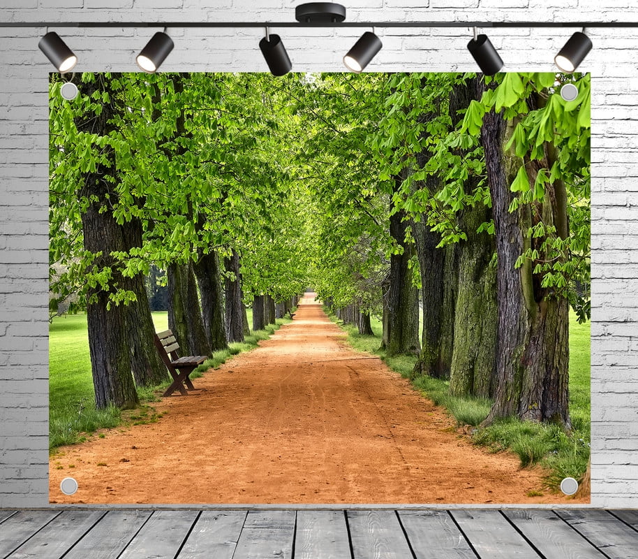 12x10ft Green Backdrop Tree Lined Pathway Photo Backdrop Garden ...