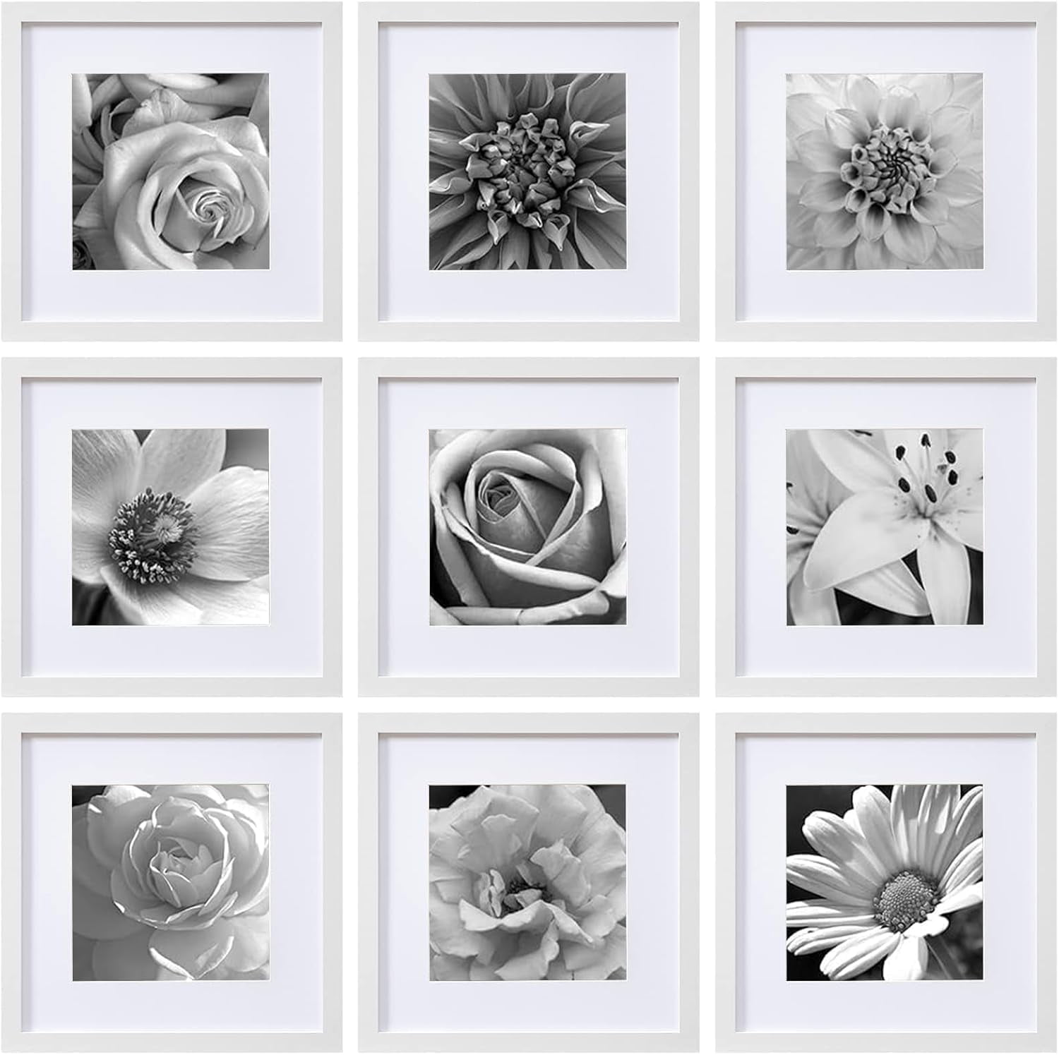 12x12 Picture Frames Set of 9, Classic Gallery Wall Frame Set Displays ...
