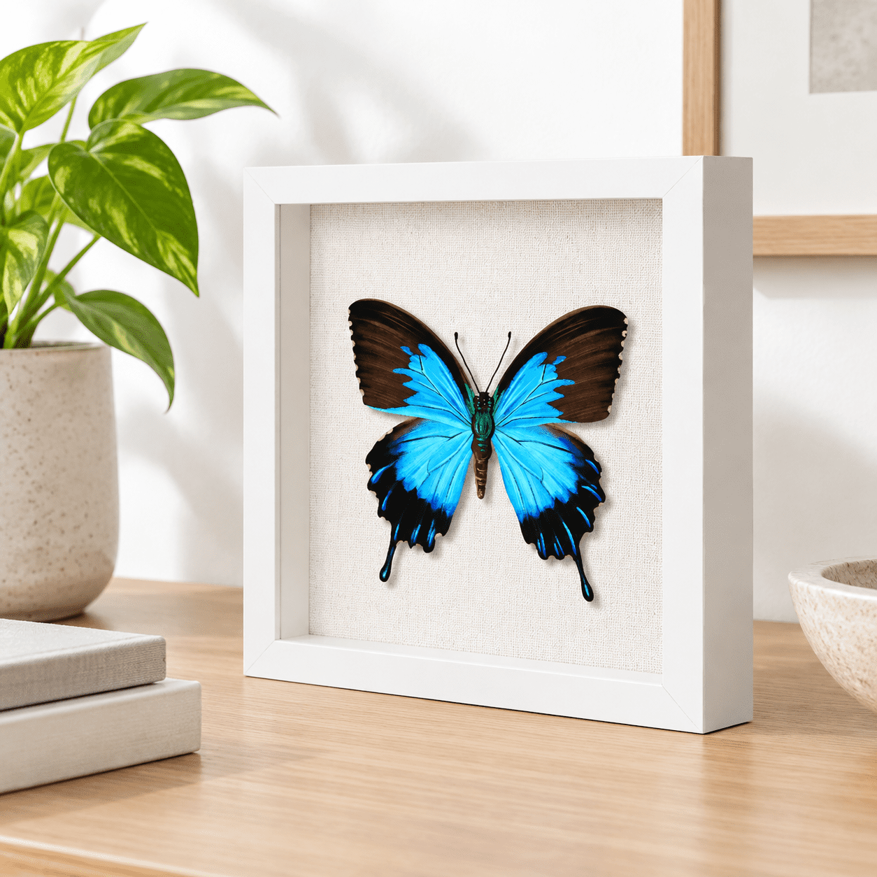 12x12 Shadow Box Frame With Linenboard & Real Gl Wood Display Case Deep ...