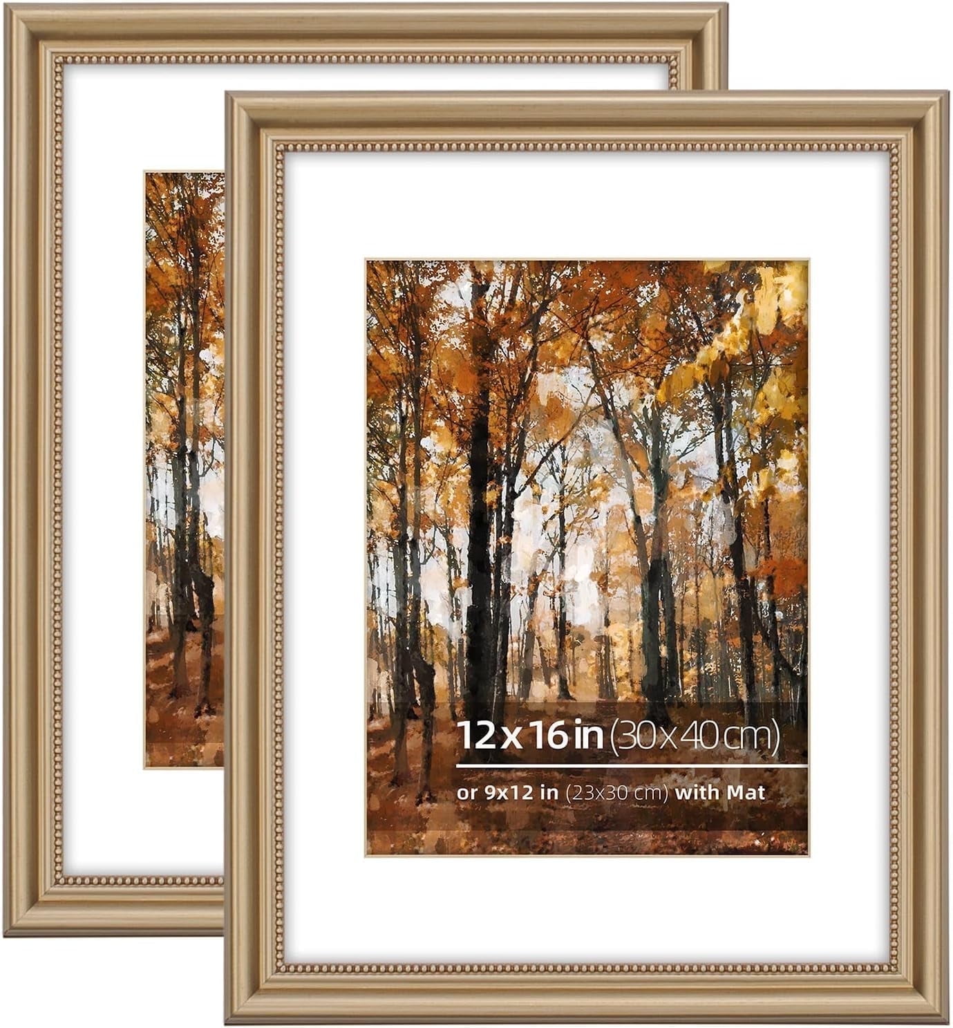 12x16 in 2PK Wood Classic Gallery Poster Picture Frame, Gold Ornate ...