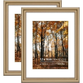 Picture Frames 12 X 16