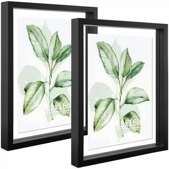 12x16 Floating Picture Frame Set of 2,Double Plexglass Floating Frame ...