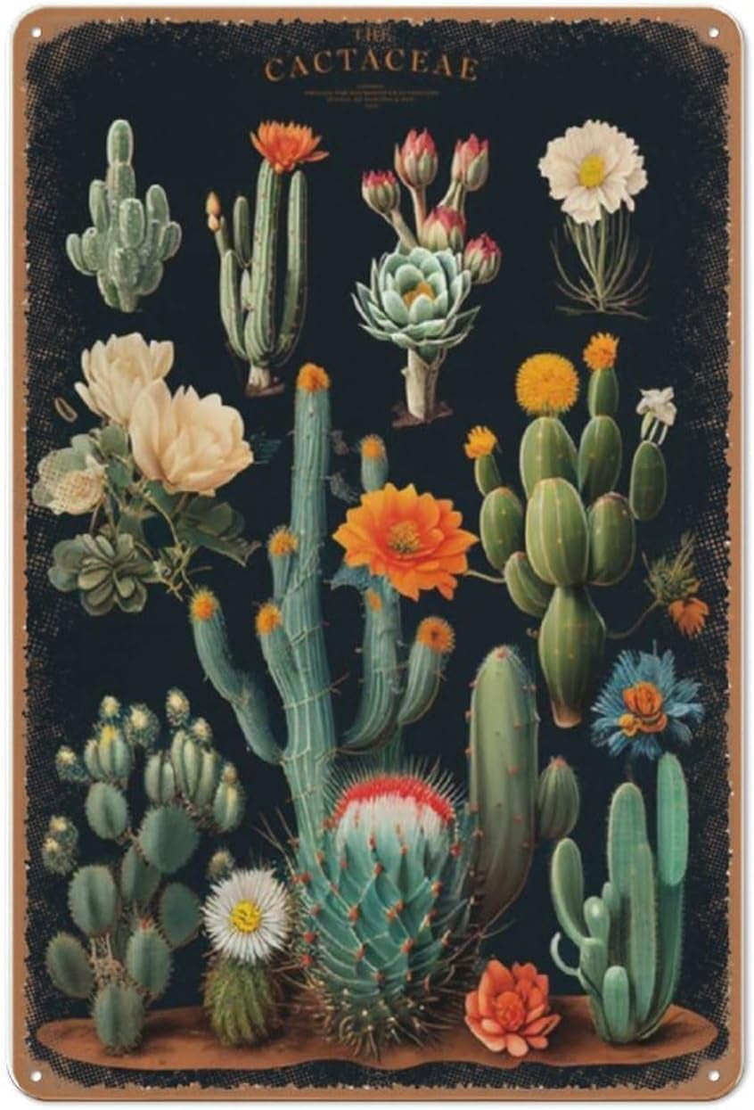 12x16 Inch Cactus Chart Print, Cacti Poster, Succulent Wall Art, Cactus ...