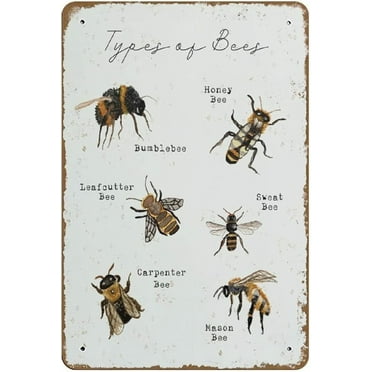 Metal Tin Sign Dog Bicycling Bike Vintage Tin Poster Metal Sign Wall ...