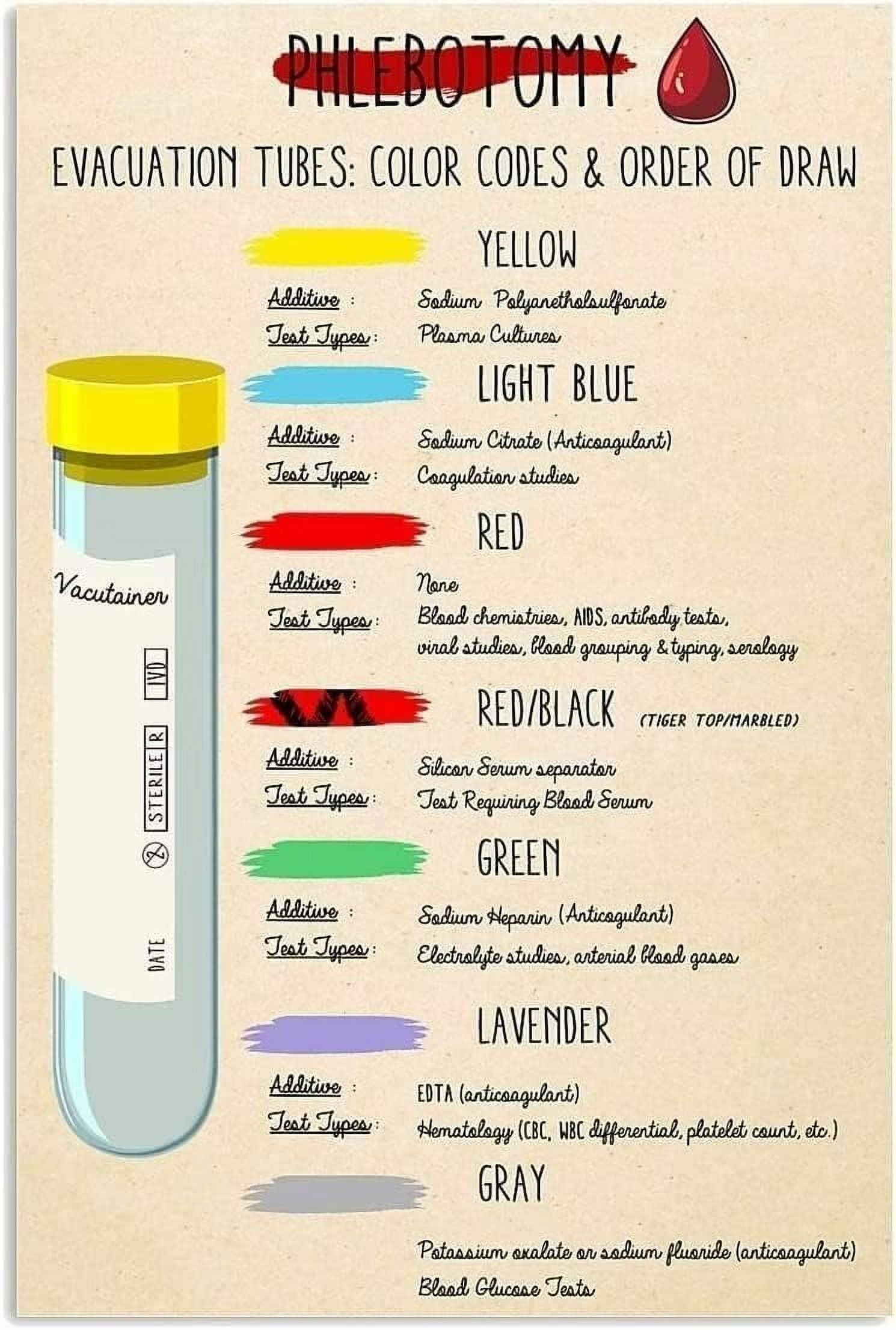 12x16 Inch Phlebotomy Wall Art Evacuation Tube Color Codes & Order Of ...