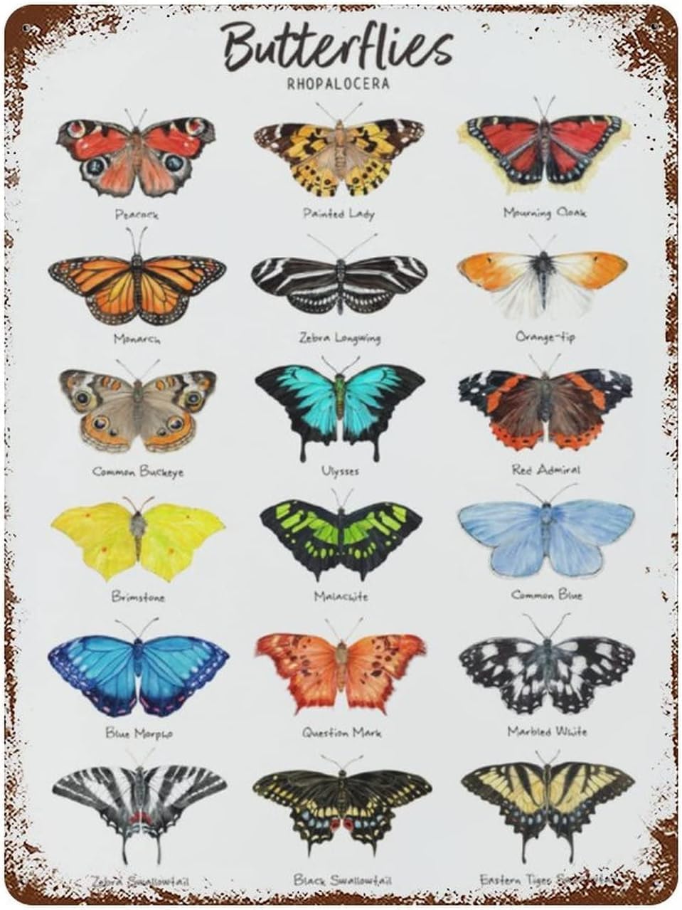 12x16 Inch Vintage Metal Tin Sign Butterfly Art Print Home Decor Funny ...
