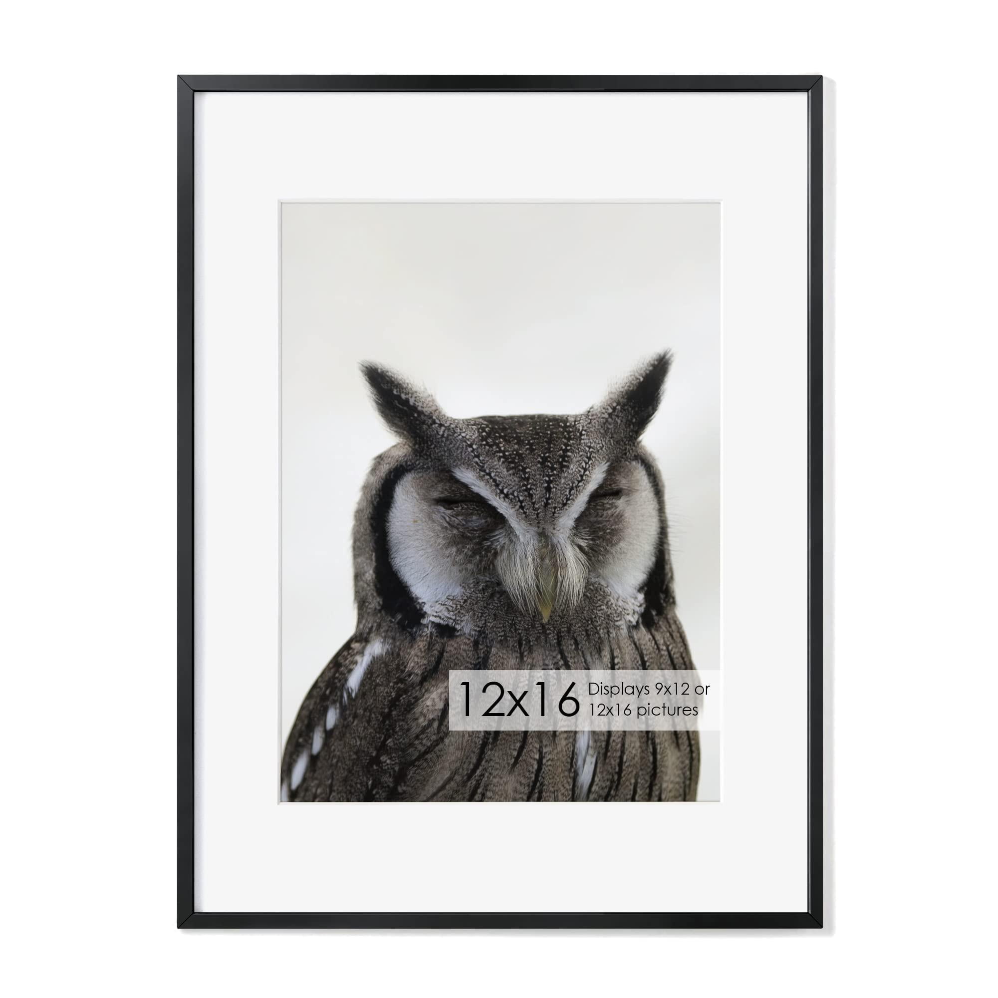 Fun Memories 12x16 Aluminum Metal Picture Frame, Display Photos 9x12 ...