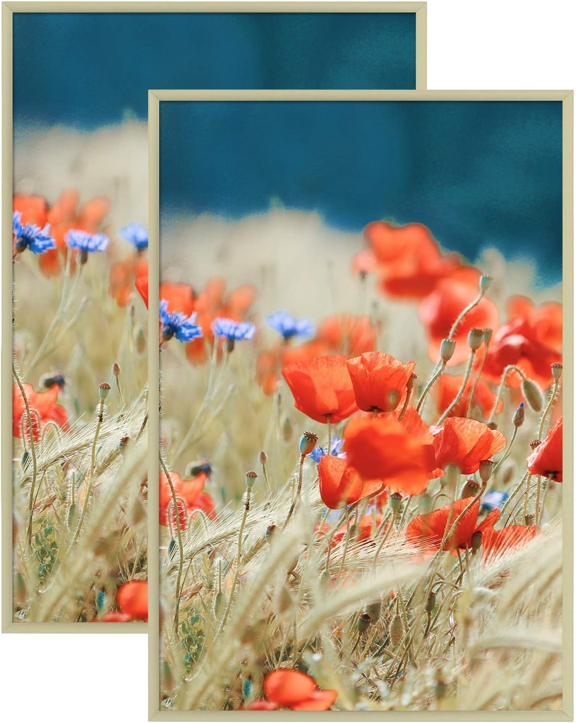 12x18 Aluminum Poster Frame Gold, Metal Picture Frames 12 X 18 for ...