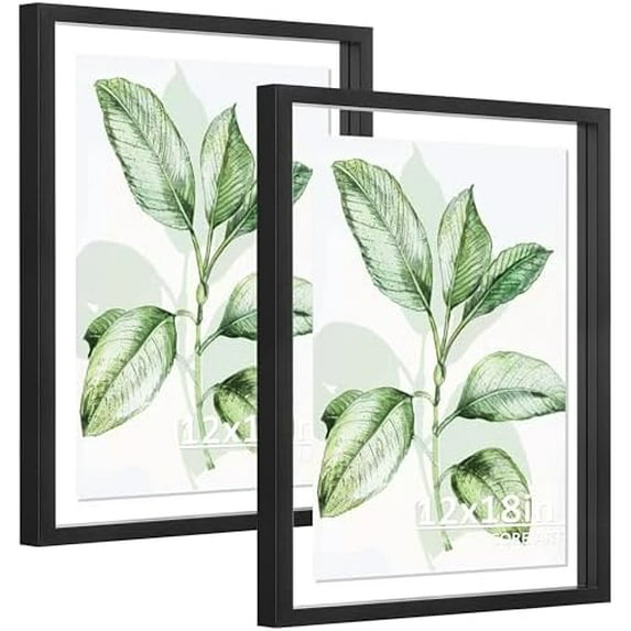 12x18 Floating Picture Frame Set of 2,Double Plexglass Floating Frame ...