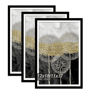 Picture Frames 12 X 18