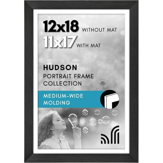 12x18 Poster Frame with Shatter-Resistant Glass - Use as 11x17 Frame ...