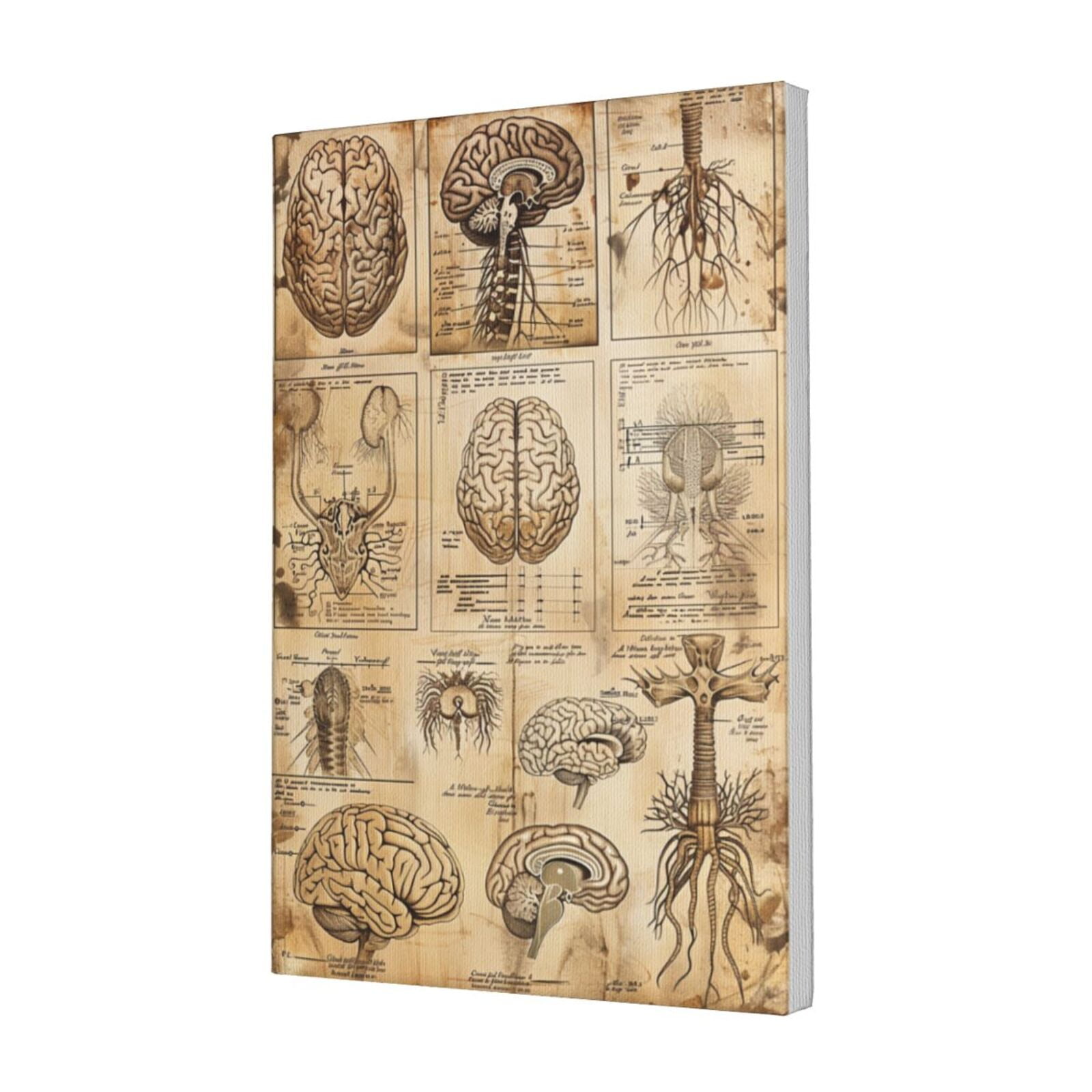 12x18 inch Canvas Hanging Picture Guide To Understanding The Human ...