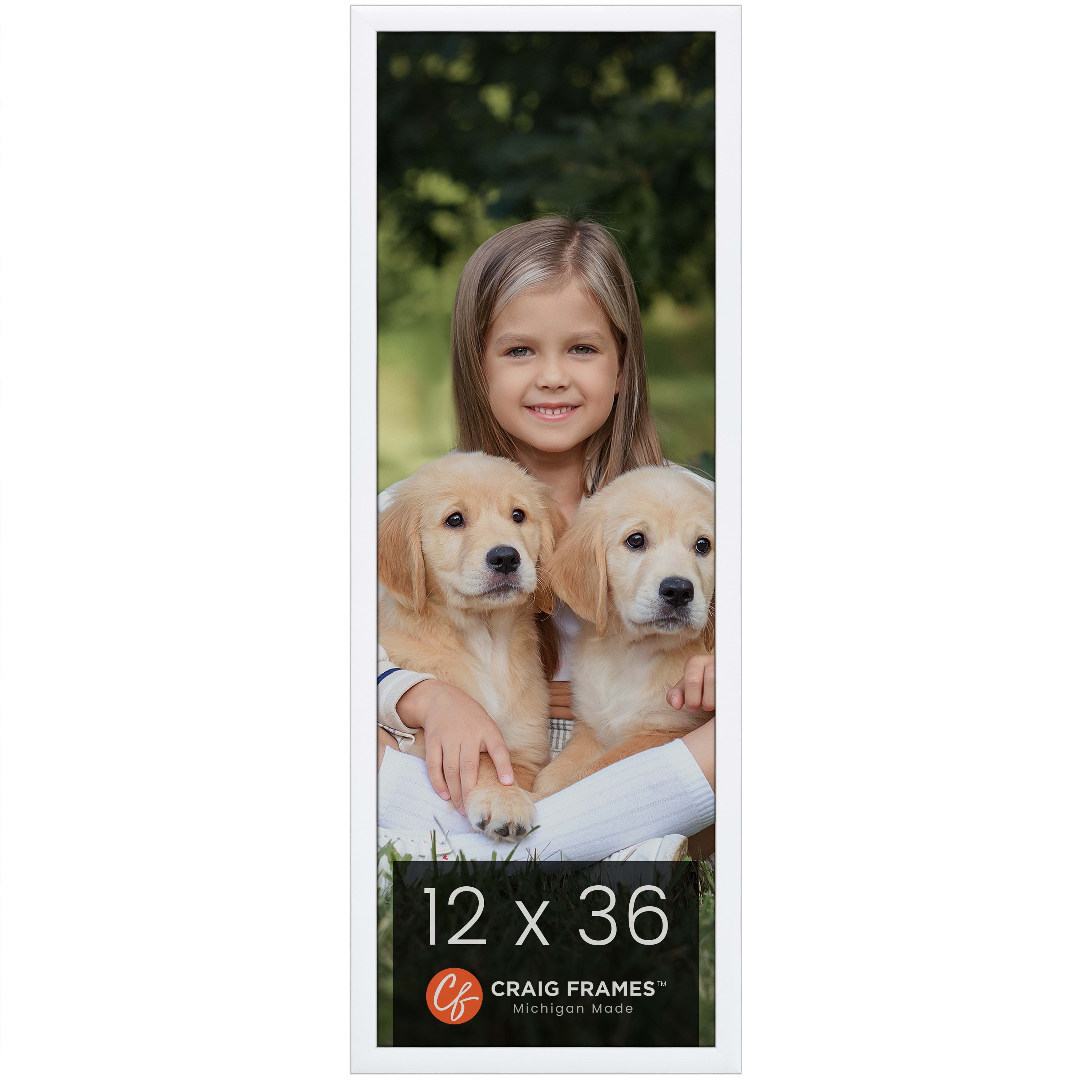 12x36 Contemporary White Satin Picture Frame - Walmart.com