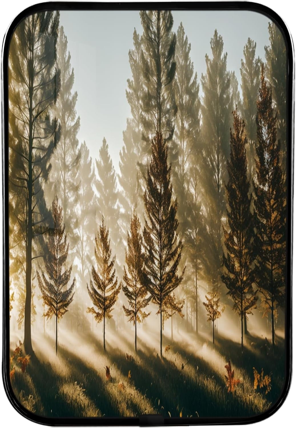 12x8 In Framed Forest Sunrise Wall Art Decor Great Smoky Mountains ...