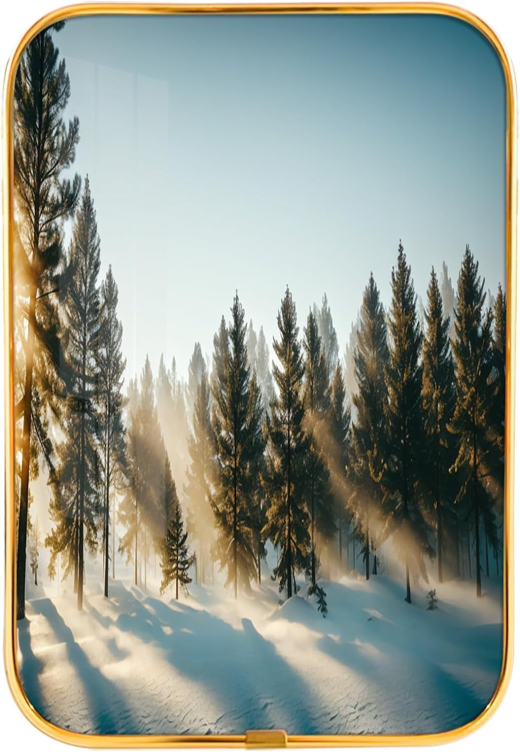 12x8 In Framed Forest Sunrise Wall Art Decor Great Smoky Forest Photo ...