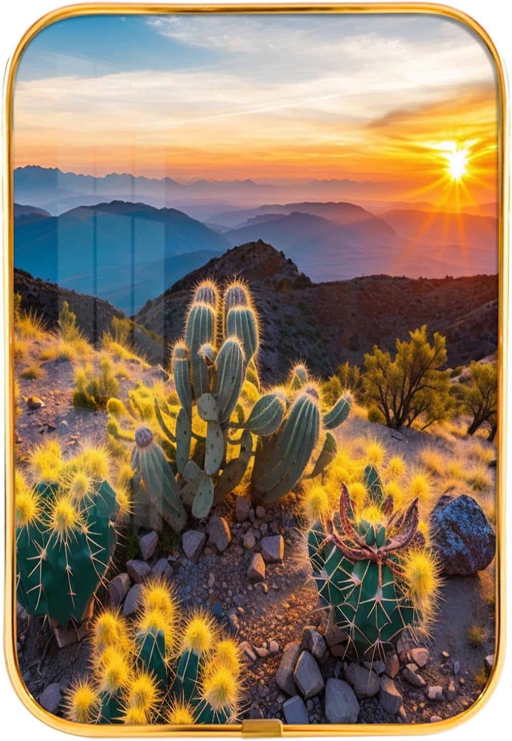12x8 Inches Framed Cactus Wall Art Decor with Gold Frame and Decorative ...