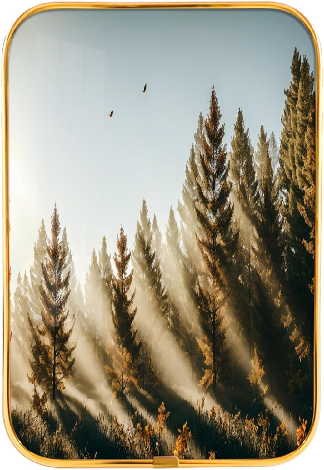 12x8 Inches Framed Forest Sunrise Wall Art Decor Great Smoky Mountains ...