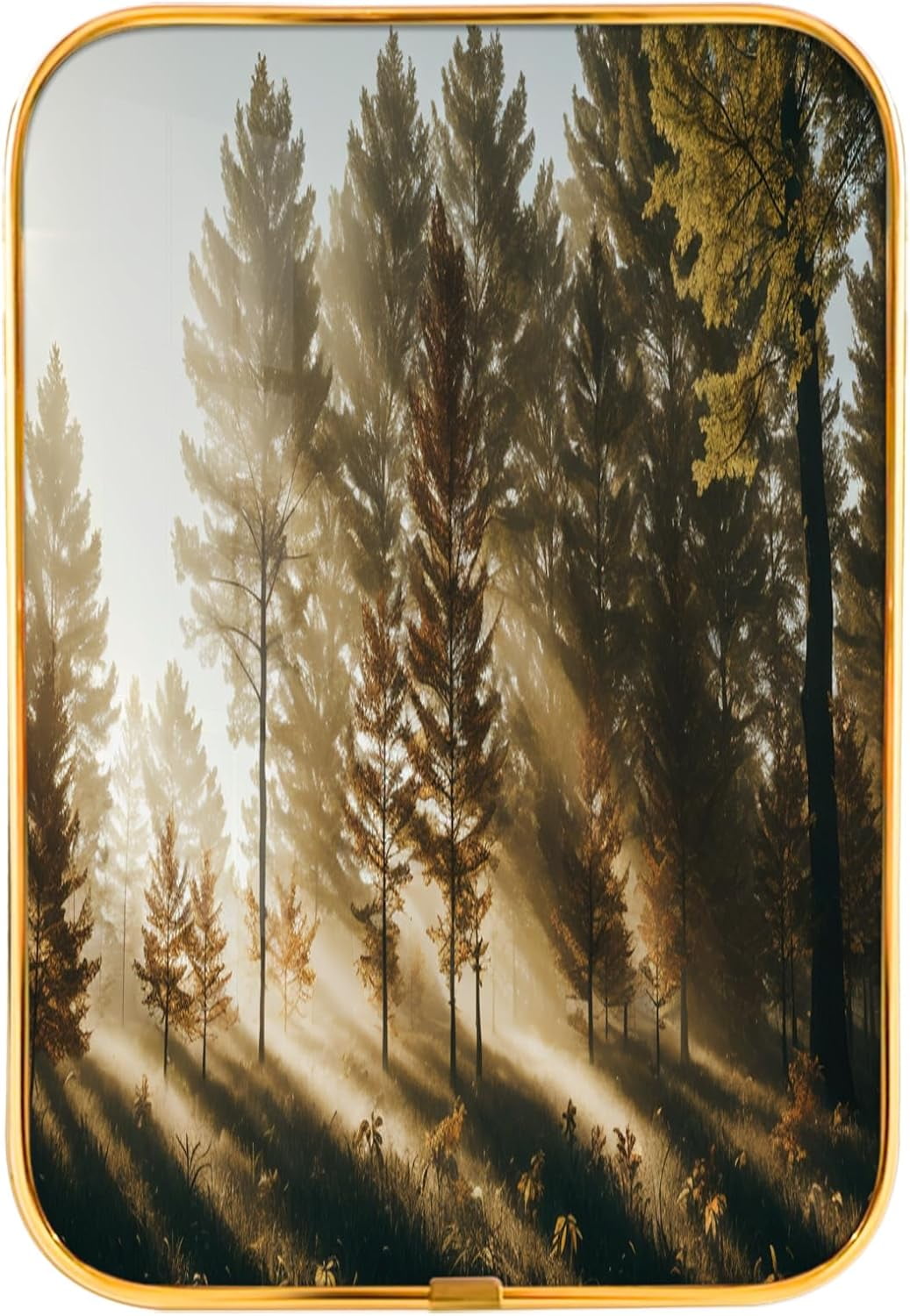 12x8 Inches Framed Forest Sunrise Wall Art Decor Great Smoky Mountains ...