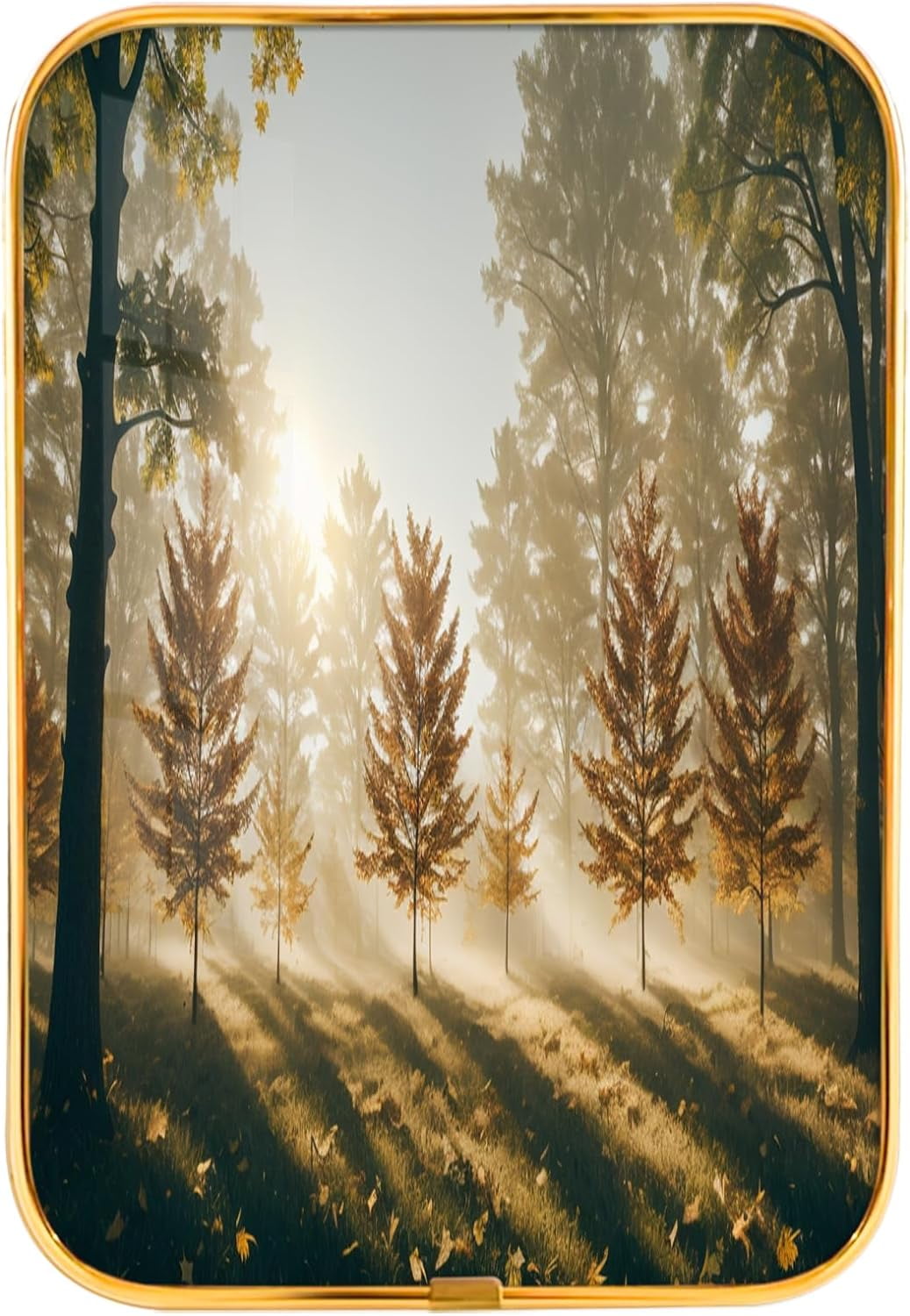 12x8 Inches Framed Forest Sunrise Wall Art Decor Great Smoky Mountains ...