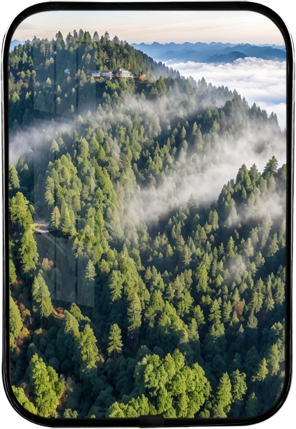 12x8 Inches Framed Forest Wall Art Green Pine Tree Nature Pictures ...