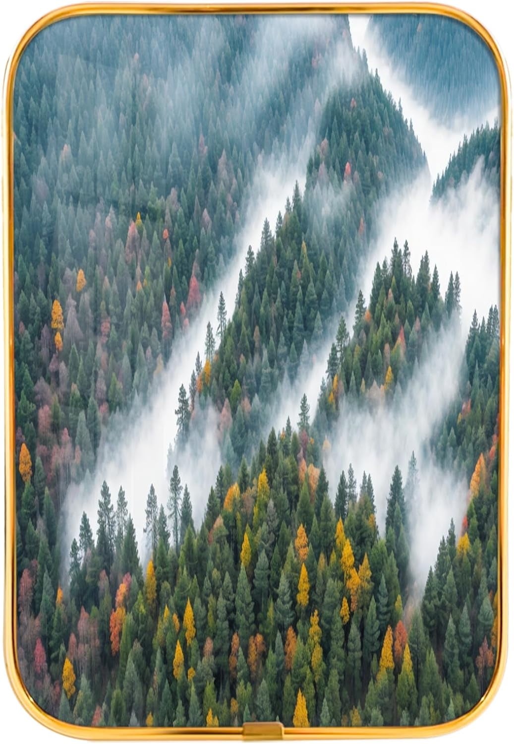 12x8 Inches Framed Forest Wall Art Green Pine Tree Nature Pictures ...