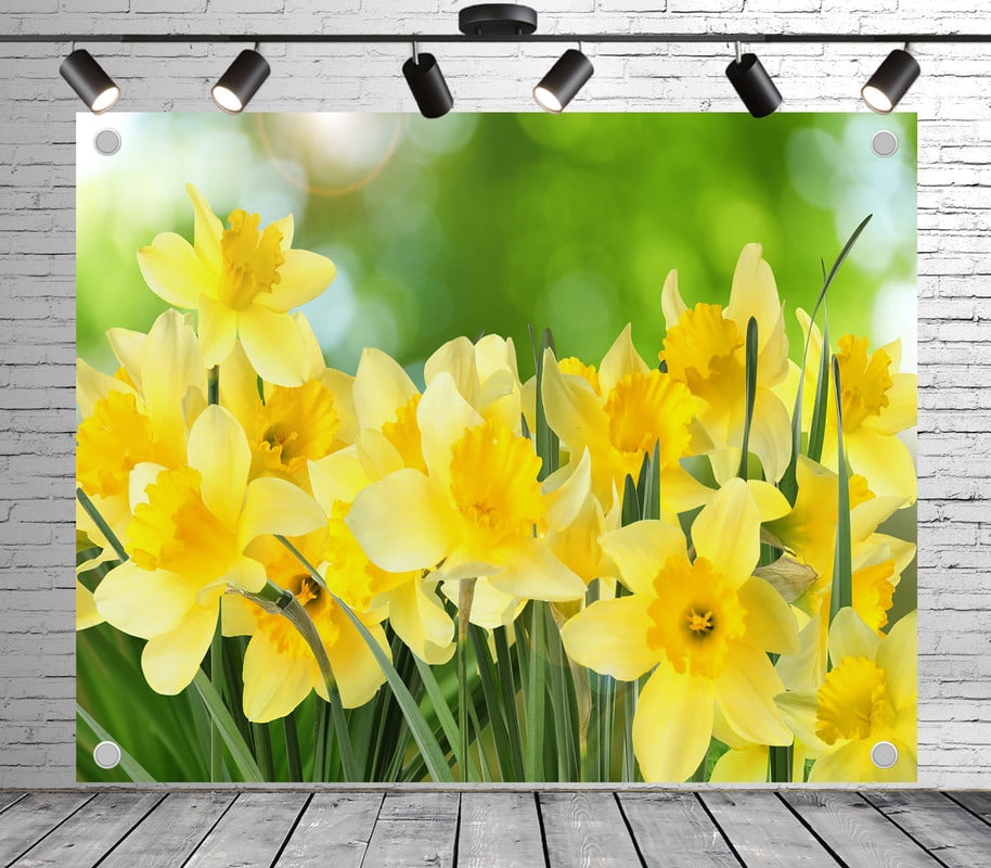 12x8ft Floral Backdrop Yellow Daffodil Photo Backdrop Garden Background ...