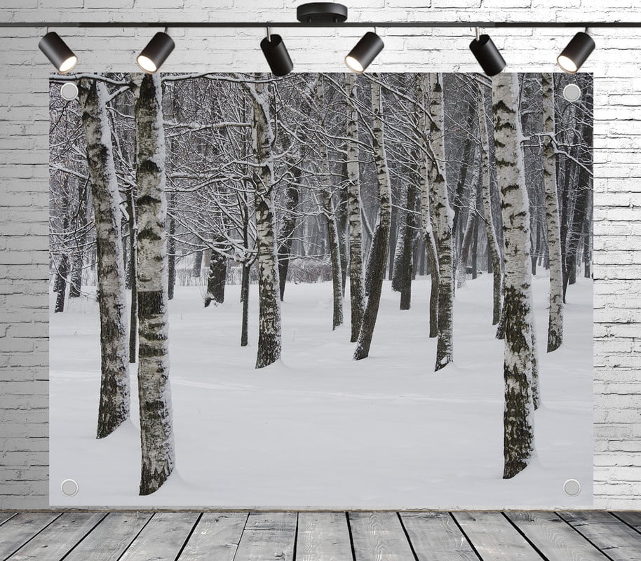 12x8ft Serene Snowy Birch Forest Backdrop Photoshoot Photo Backdrop ...