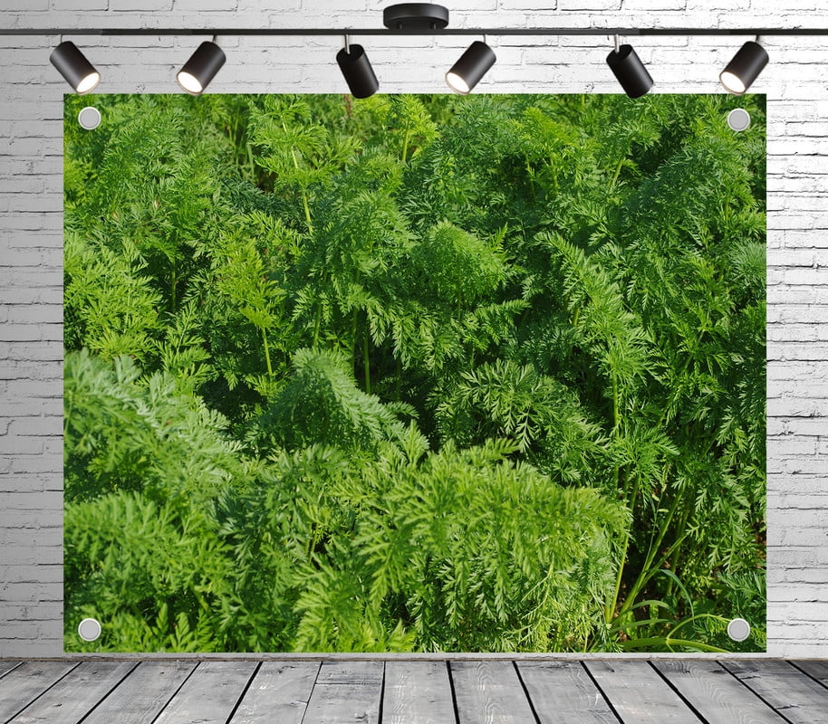 12x8ft Vibrant Tropical Jungle Backdrop Photoshoot Photo Backdrop ...