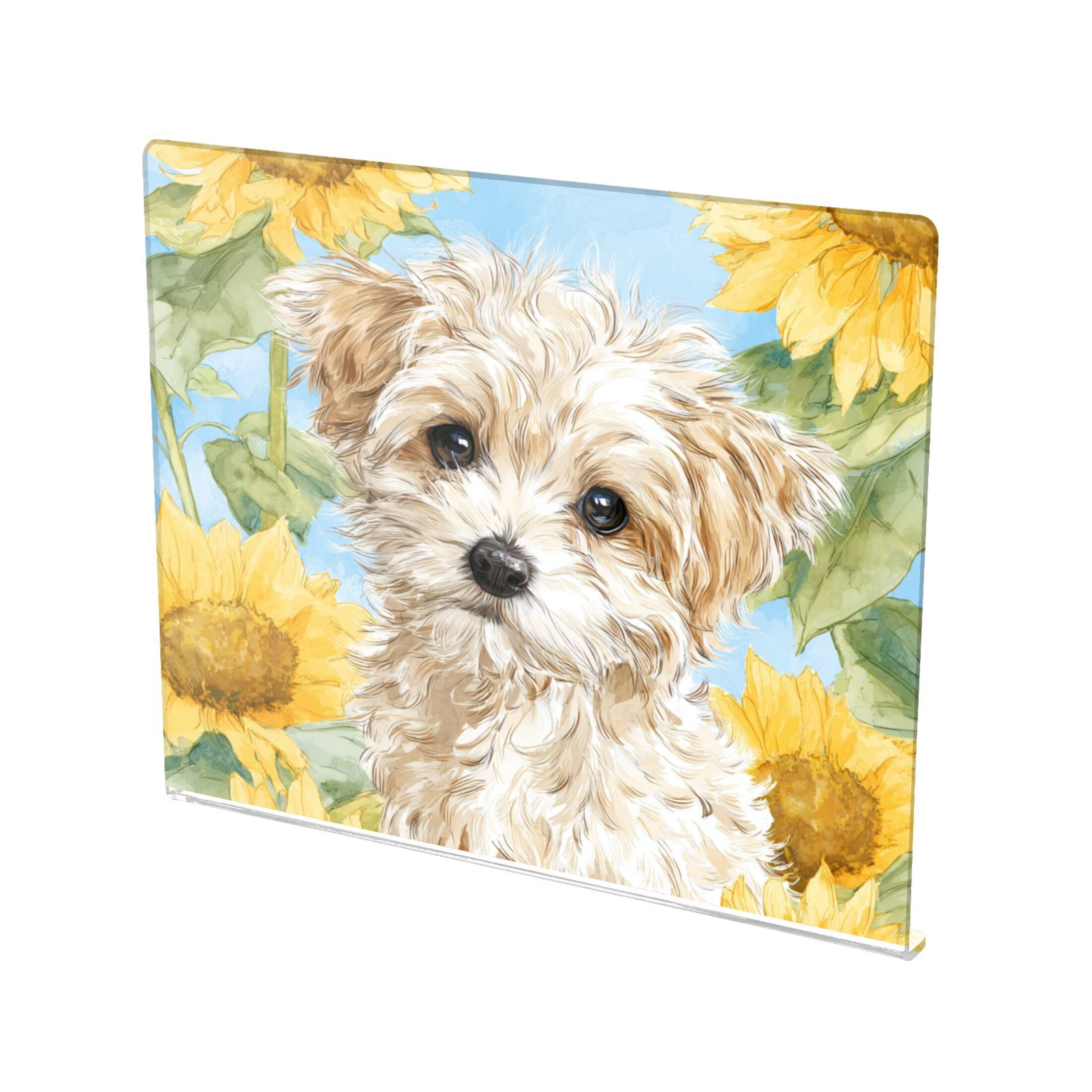 13.4" x 16.5" Food-Grade Acrylic Cutting Board Non-Slip Kitchen ...