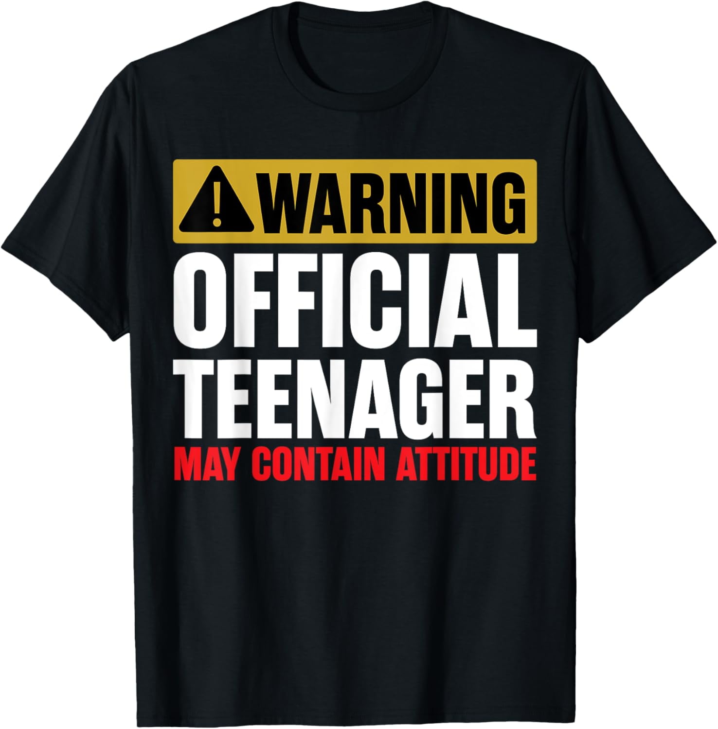 13 Birthday Official Teenager Boy 13yr Math 13th Birthday T-ShirtBrand ...
