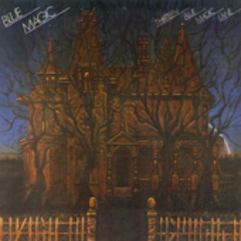 13 Blue Magic Lane - Walmart.com