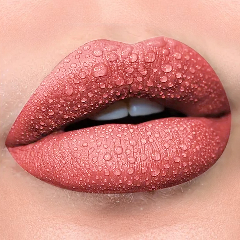 13 Colors Waterproof Matte Velvet Lip Tint Collection - Long-Lasting ...