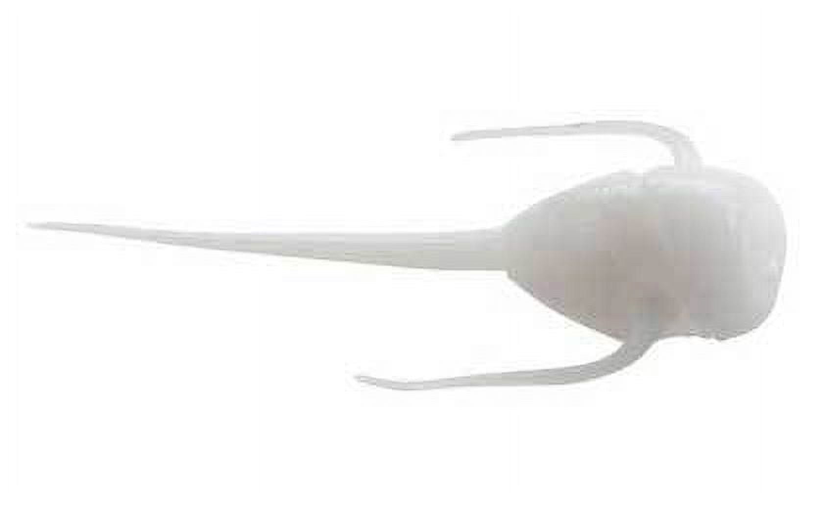 13 Fishing Paralyzer - Panfish Plastics - White No. 1 - 6 Baits Per ...