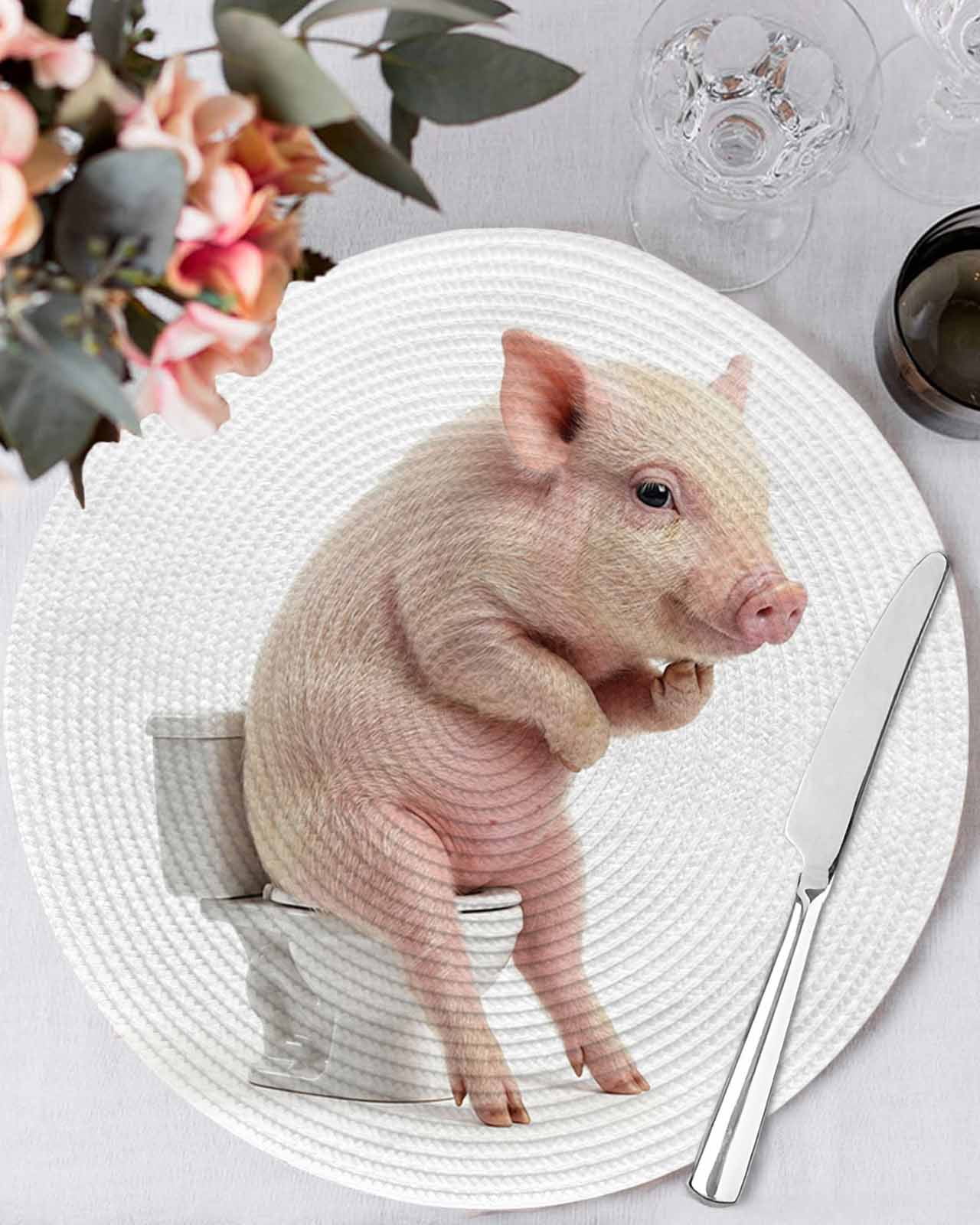 13 Inch Round Placemats Set of 4, Funny Pig Non Slip Heat Insulation PP ...