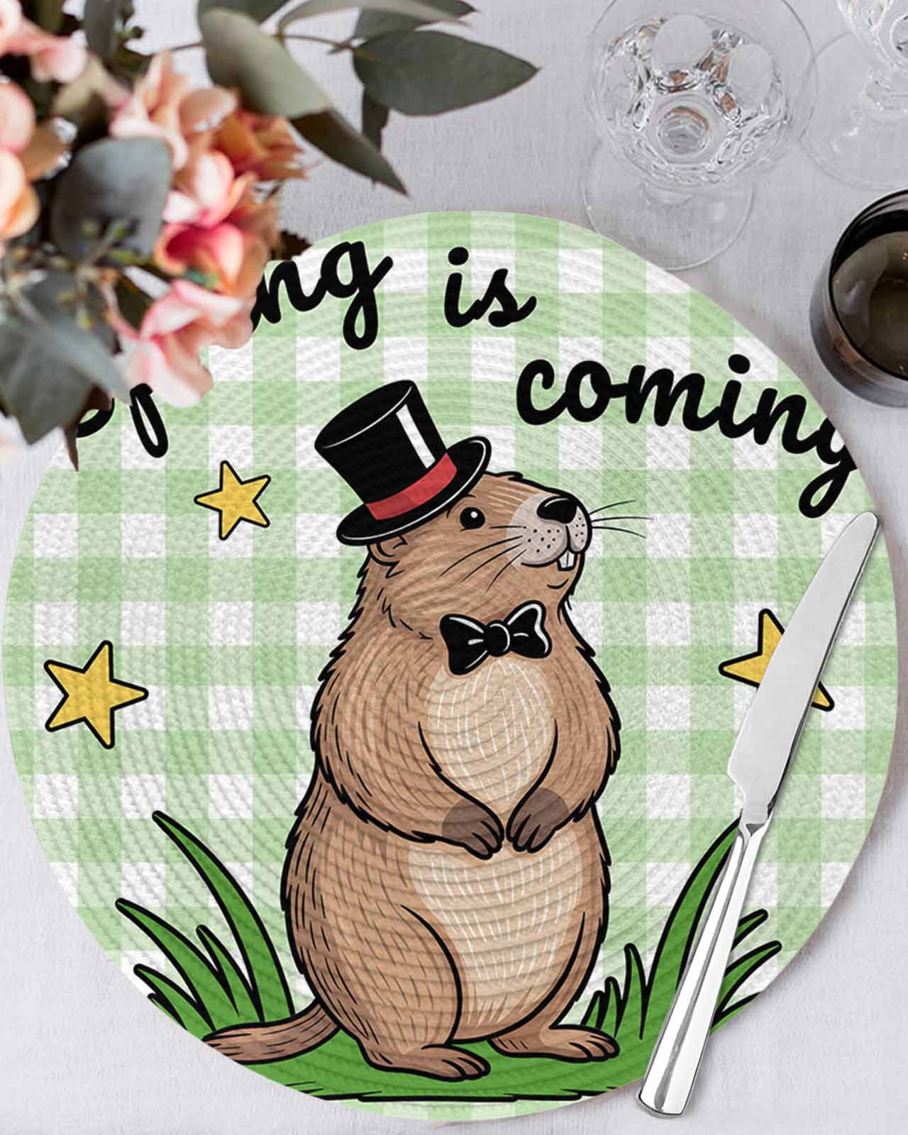 13 Inch Round Placemats Set of 4, Groundhog Day Non Slip Heat ...