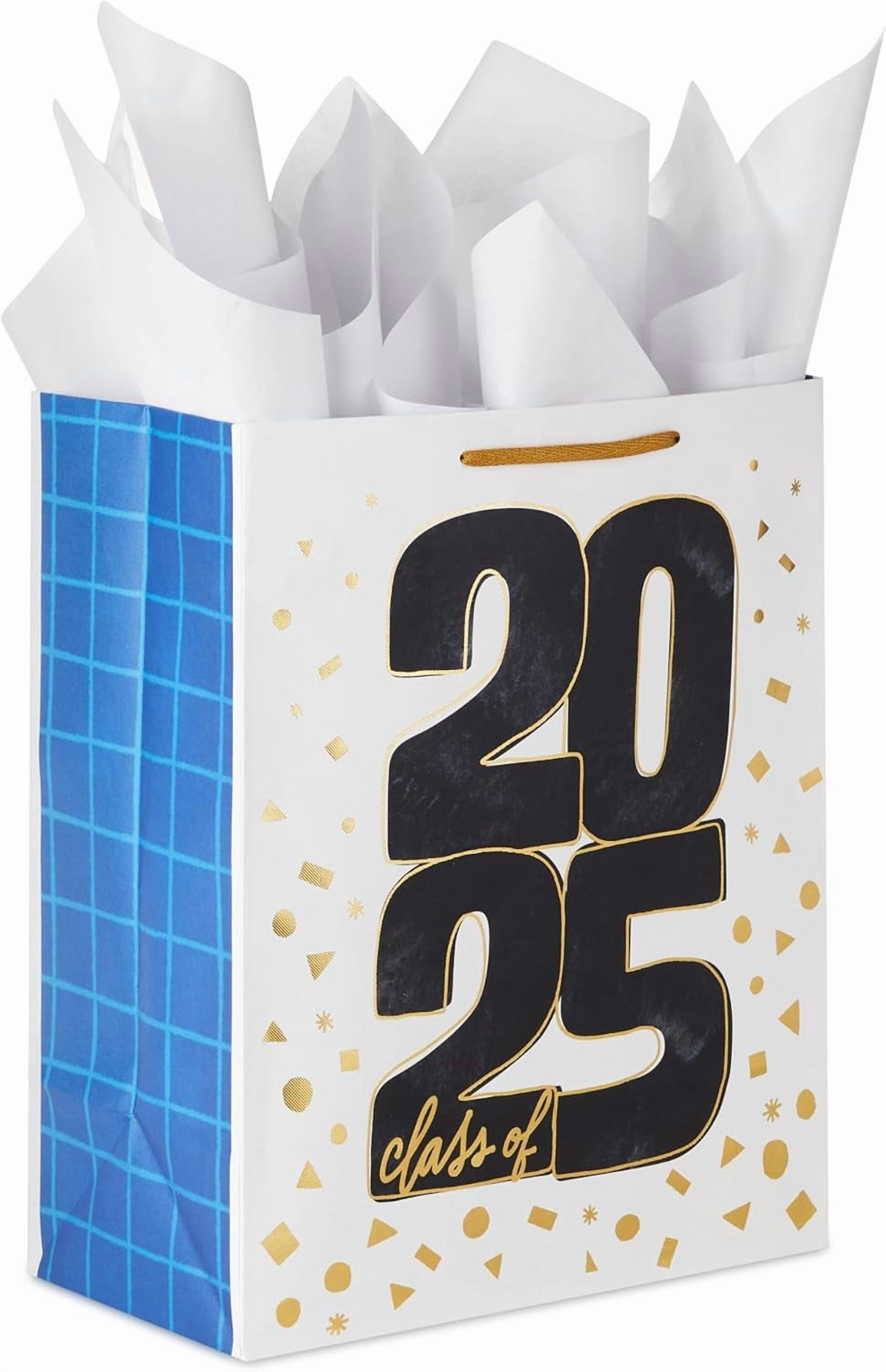 13" Large White Graduation Gift Bag with Tissue Paper (Class of 2025 ...