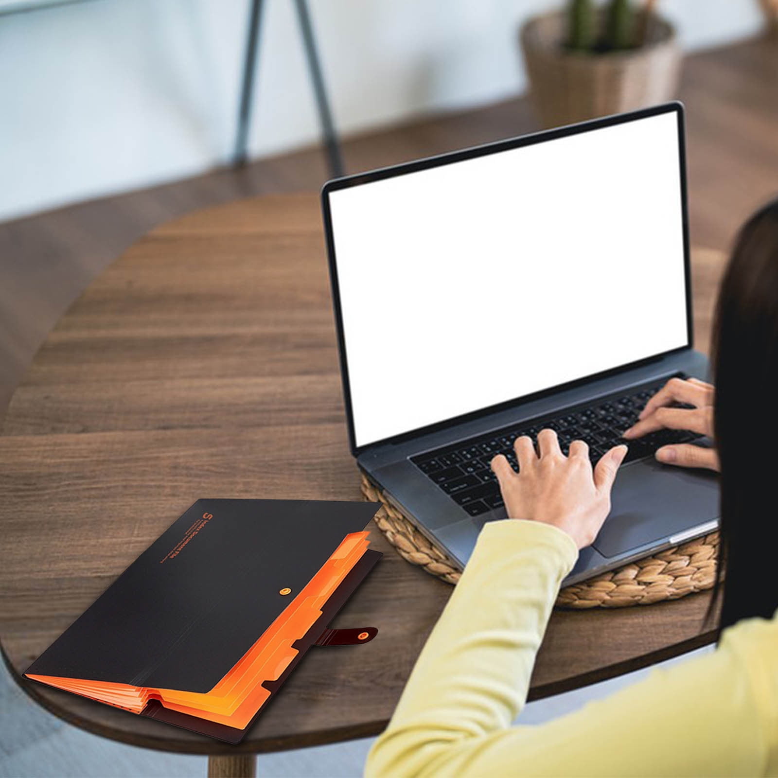 13-Pocket Expandable File Folder Organizer, Portable Accordion Document ...