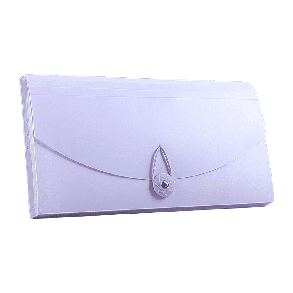 13 Pocket Expanding File Folder, Accordion File Organizer, Plastic ...