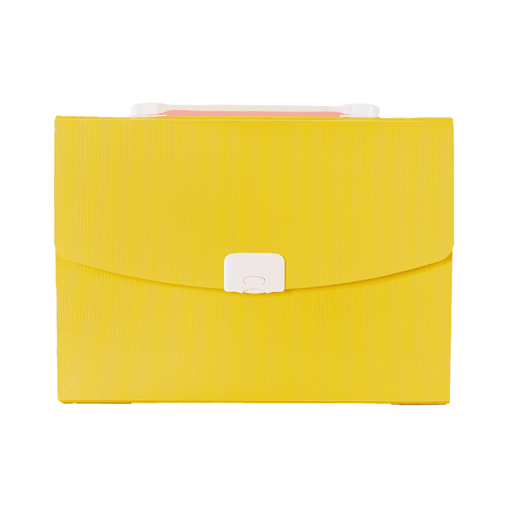 13-Pocket Expanding File Folder, Letter Size File Organizer, Document ...