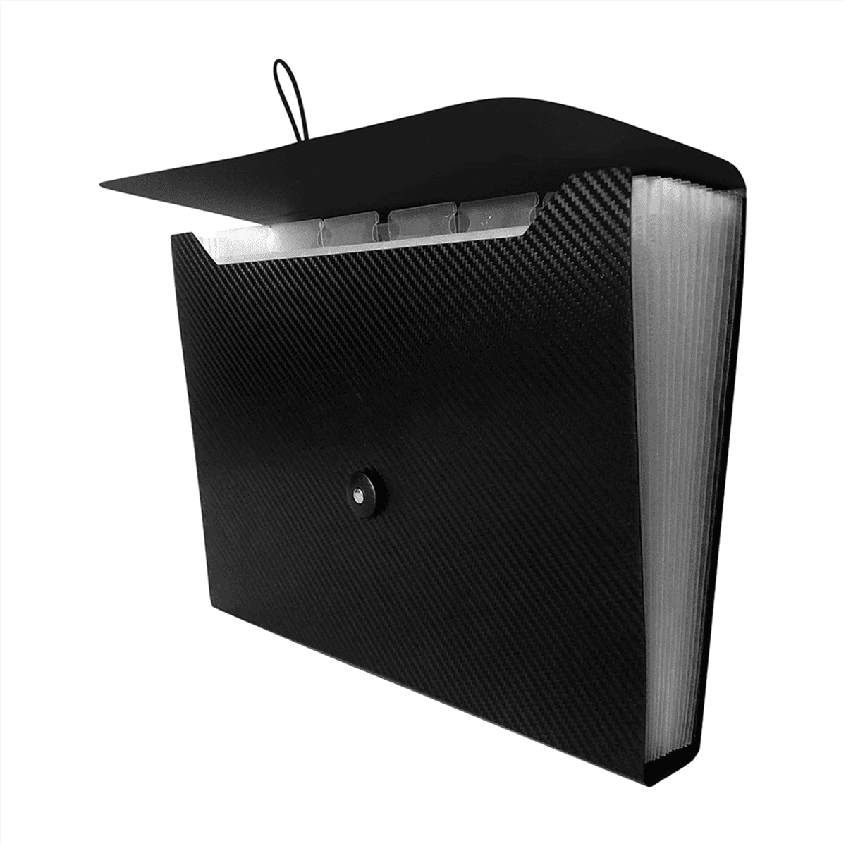 13 Pocket Expanding Folder Accordion with Elastic Buckle Closure,A4 ...