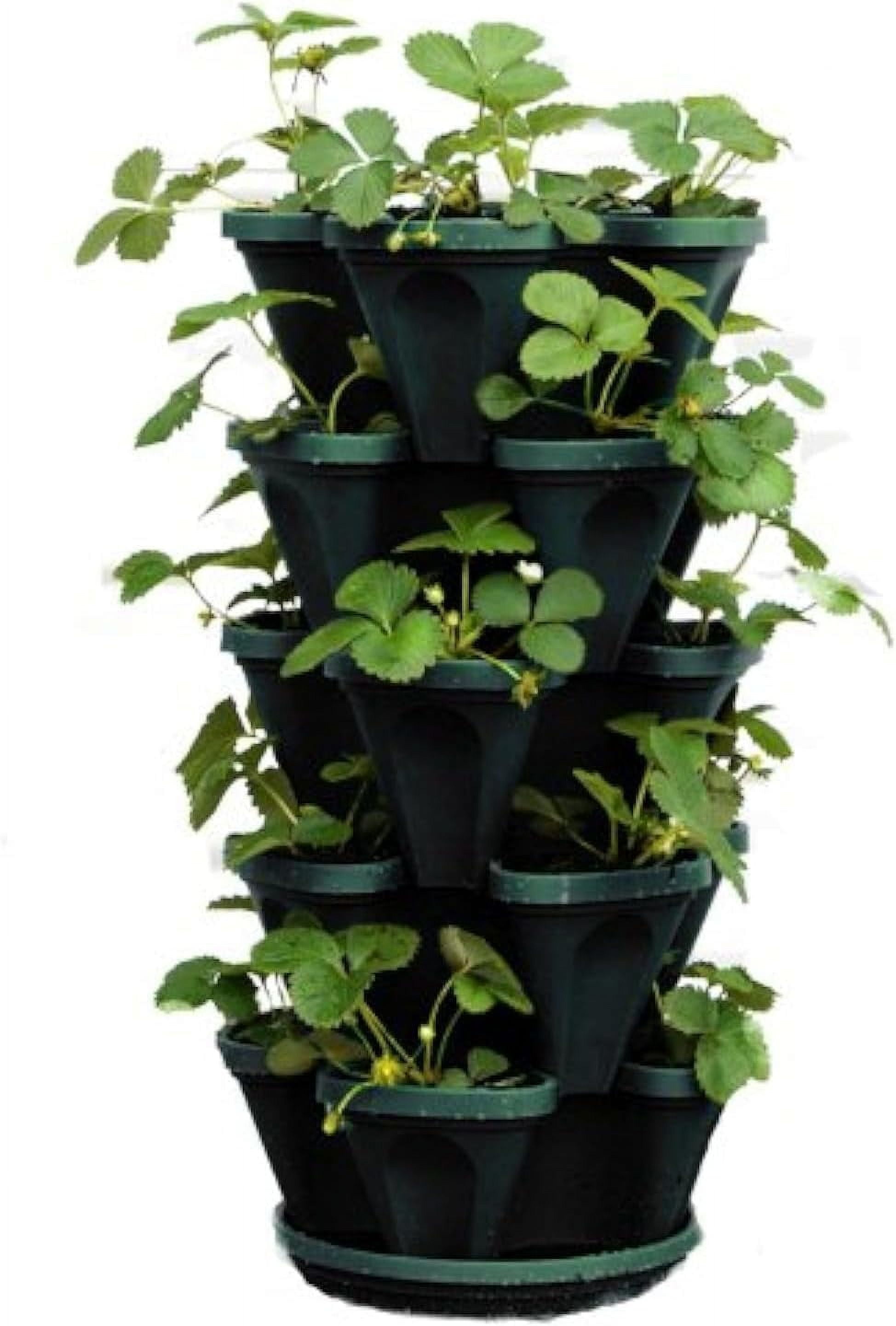 1305-HG 5-Tier Stackable Strawberry, Herb, Flower, & Vegetable Planter ...
