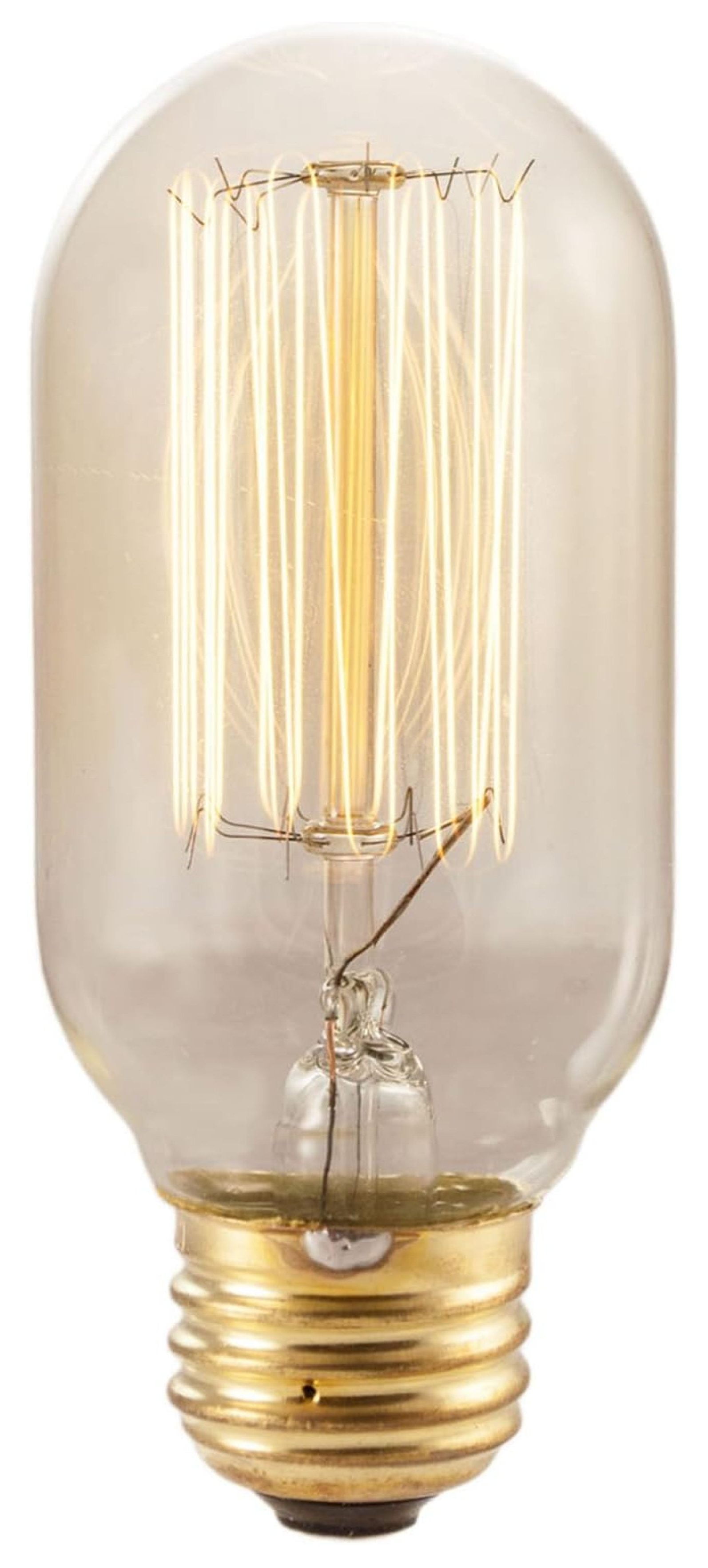 134015 NOS40T14/SQ 40-Watt Nostalgic Incandescent Edison T14, Vintage ...
