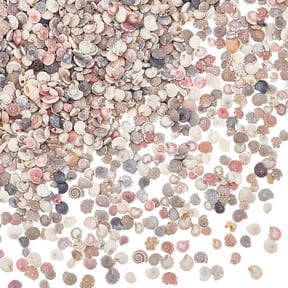 Bulk Sea Shells