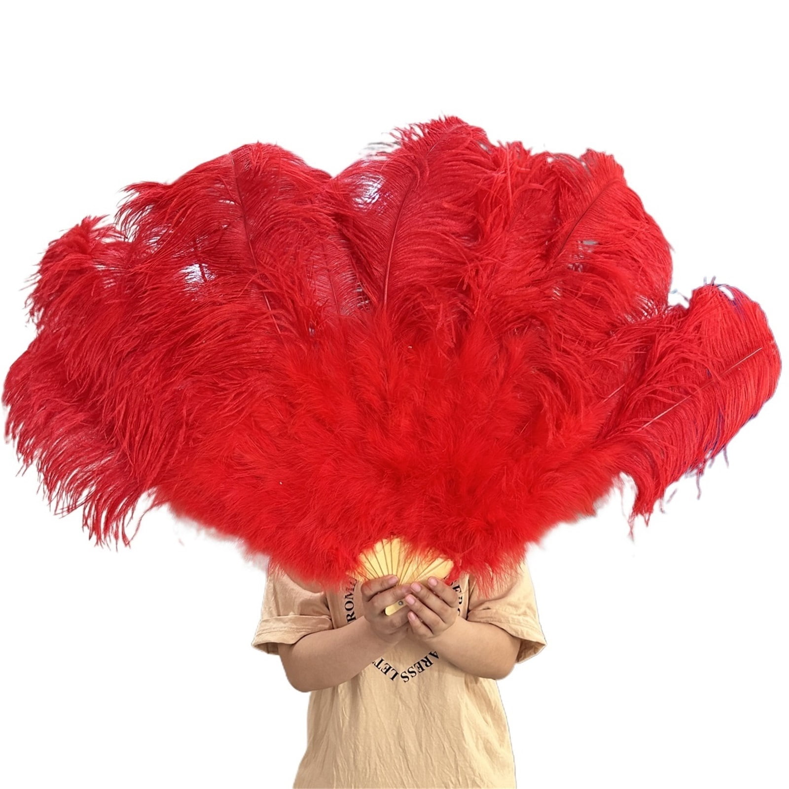 13Bones Ostrich Feather Fan Stages Performance Carnival Show Accessory ...